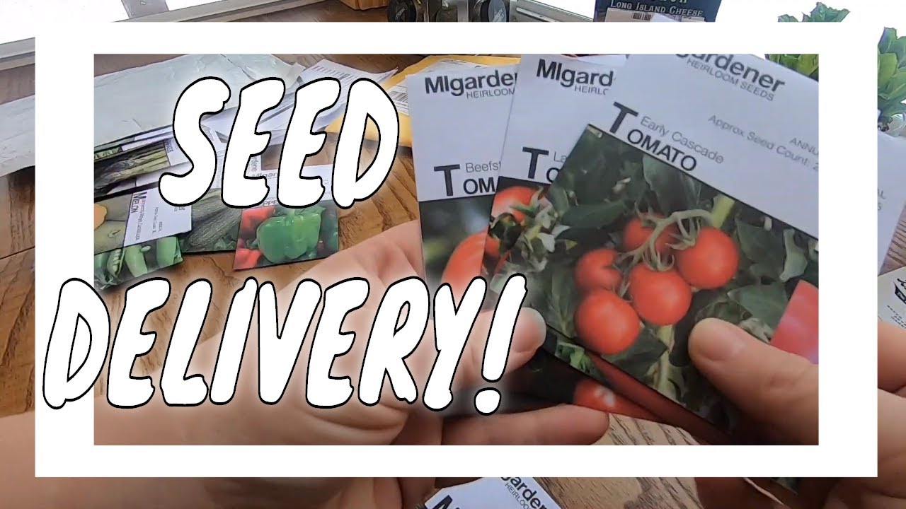 More Seeds! - YouTube