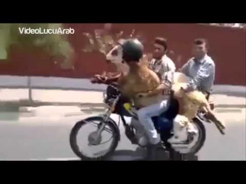 Video Lucu Arab Gila Sumpah Bikin Ketawa Sampai Nangis DKK