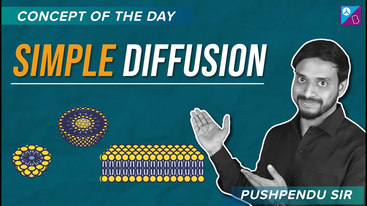 Simple Diffusion - Transport in Plants Class 11 Biology Concept ...