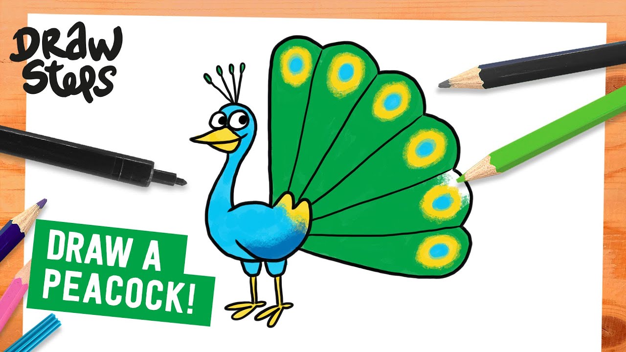How to draw a PEAFOWL / PEACOCK (easy step by step) - YouTube