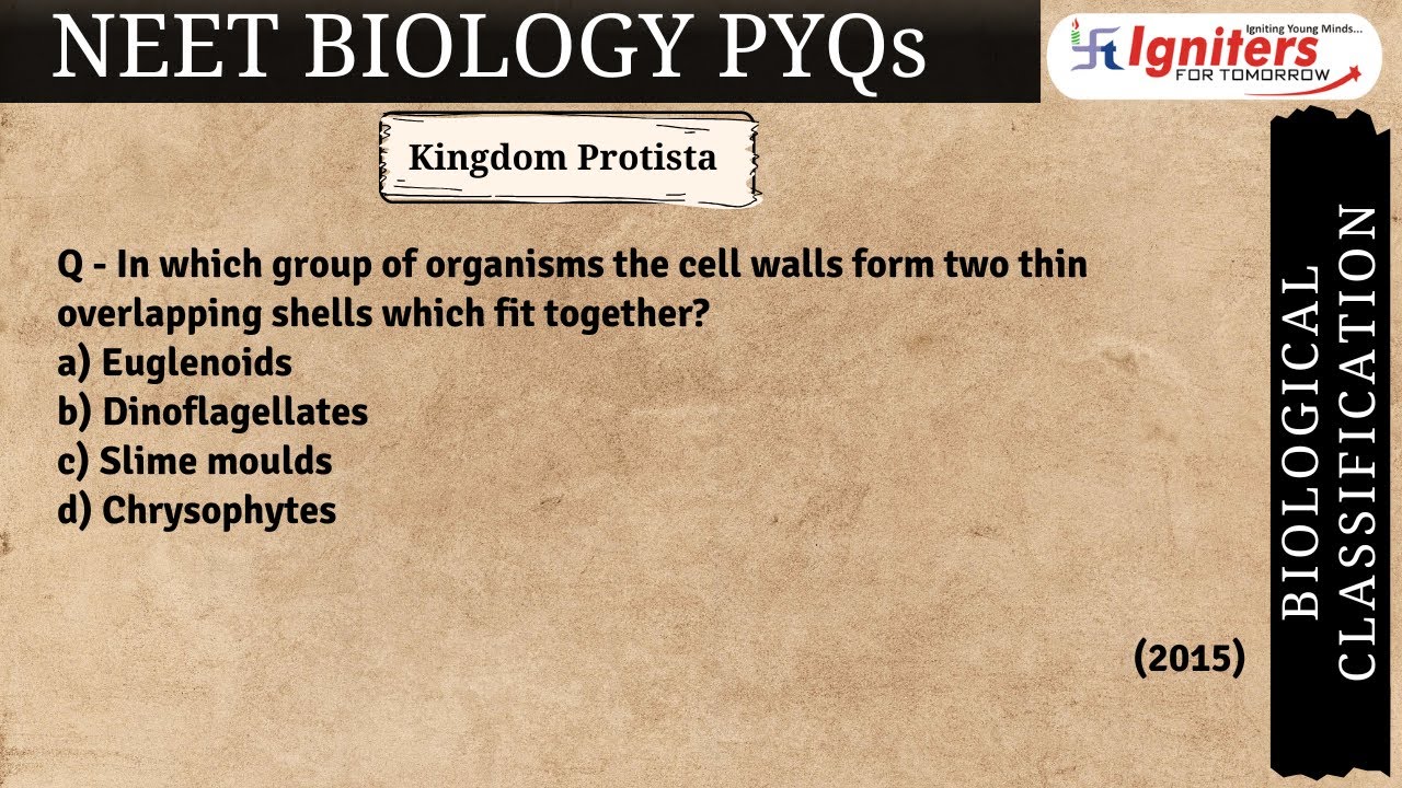 In which group of organisms the cell walls form two thin overlapping ...