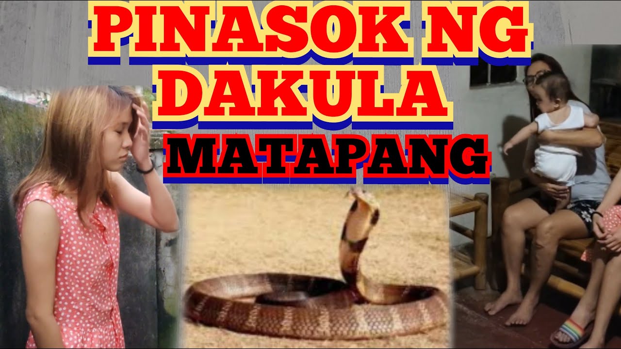 PINASOK ANG MAG IINA NG MATAPANG NA DAKULA #cobraprince #cobraking ...