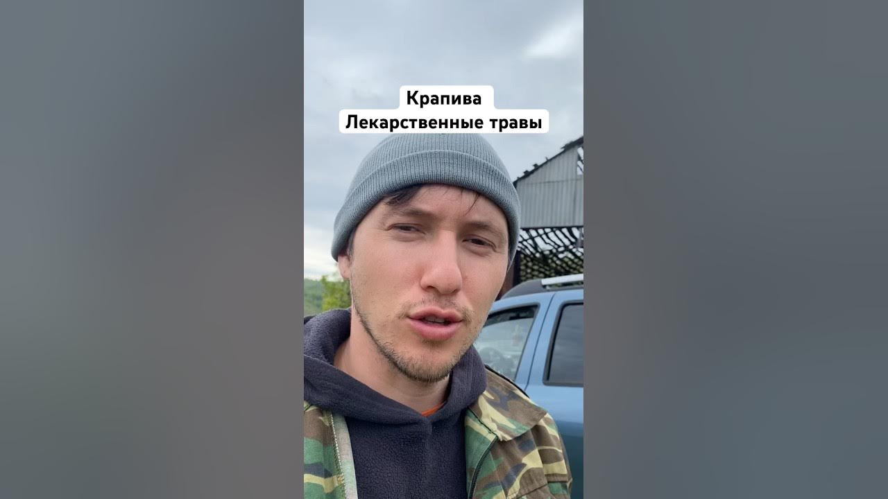 Сбор лекарственных трав. Крапива полезная трава - YouTube