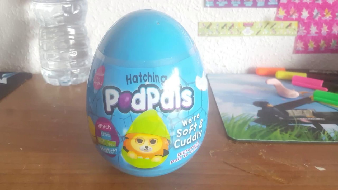 Hatchling podpals first time opening them. - YouTube