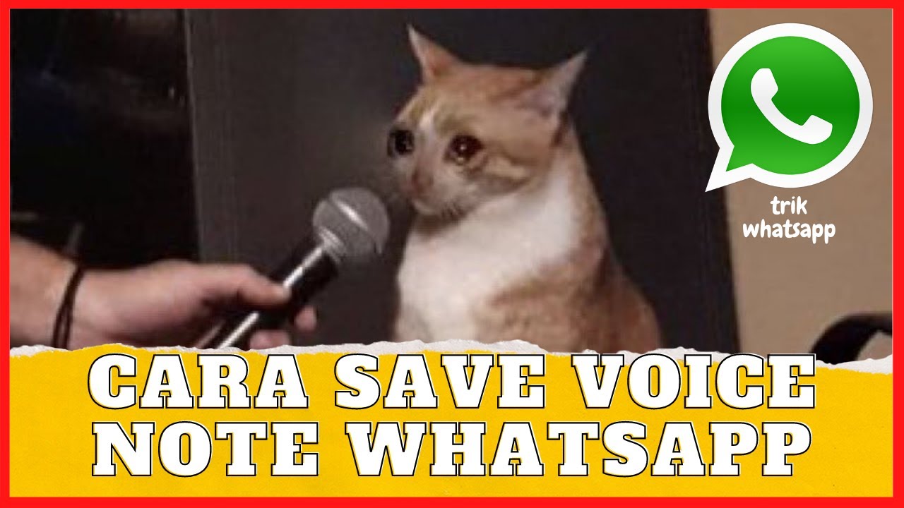 Cara Save Voice Note WhatsApp - Simpan VN (Pesan Suara) WA dalam Bentuk ...