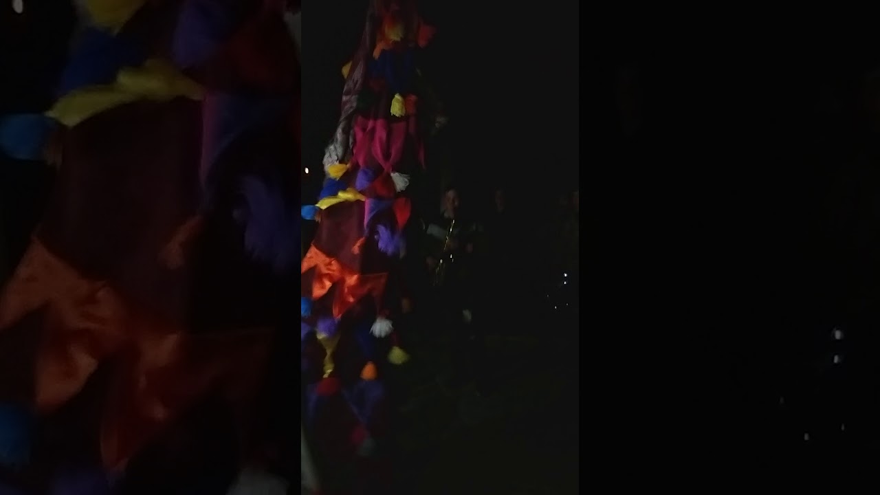 Brezaia dragoslavele mică 2020 - YouTube