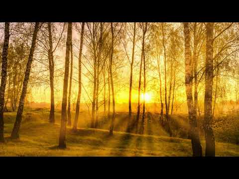 Ambient Music Session