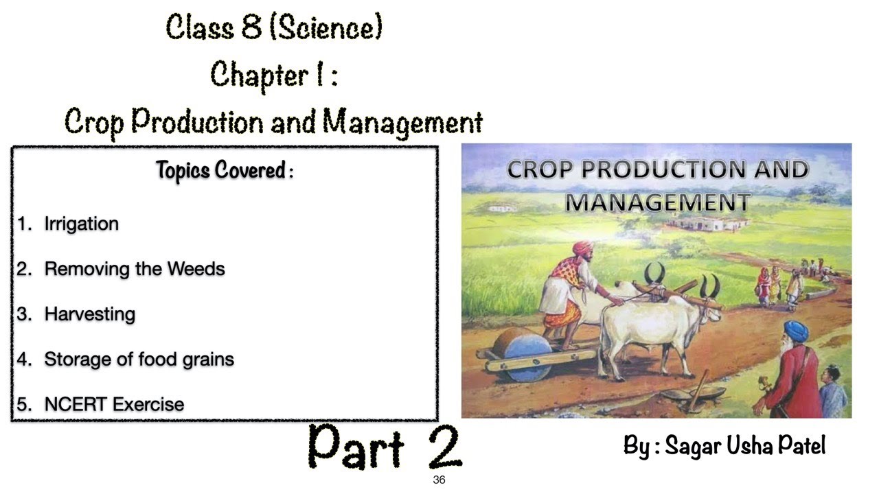 CBSE (NCERT) - Class 8 - Science - Crop Production and Management ...