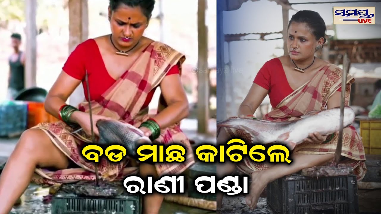 ବଡ ମାଛ କାଟିଲେ ରାଣୀ ପଣ୍ଡା | rani panda | Odia News Live Updates | Latest ...