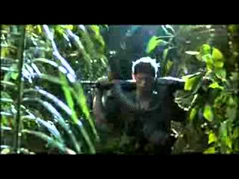 war jungle (Predator-Chrispy)