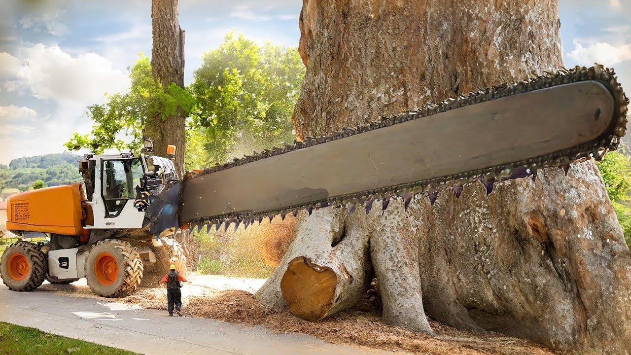 Extreme Dangerous Biggest Chainsaw Felling Tree Skill Working ...