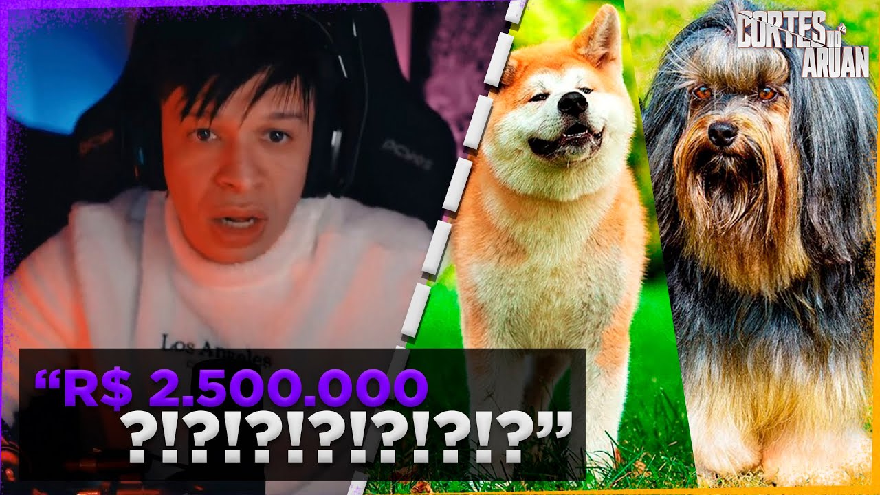 ARUAN REAGE A 20 CACHORROS QUE CUSTAM UMA FORTUNA (INCRÍVEL) - Cortes ...