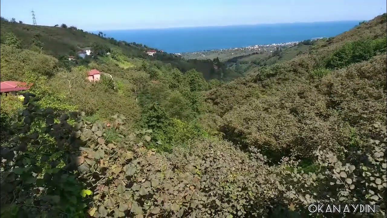ORDU BEYLİ KÖYÜ | MUHTEŞEM MANZARASIYLA YOK BÖYLE GÜZELLİK - YouTube
