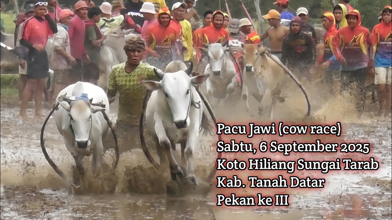 PACU JAWI KOTO HILIANG SUNGAI TARAB Pekan ke III Sabtu, 6 September ...