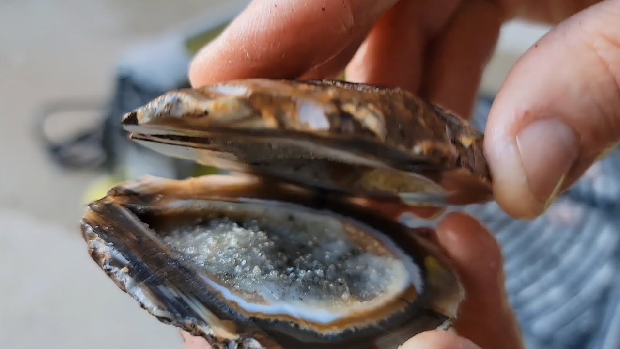 Cutting open agates. Crowley's and Brazilian. - YouTube
