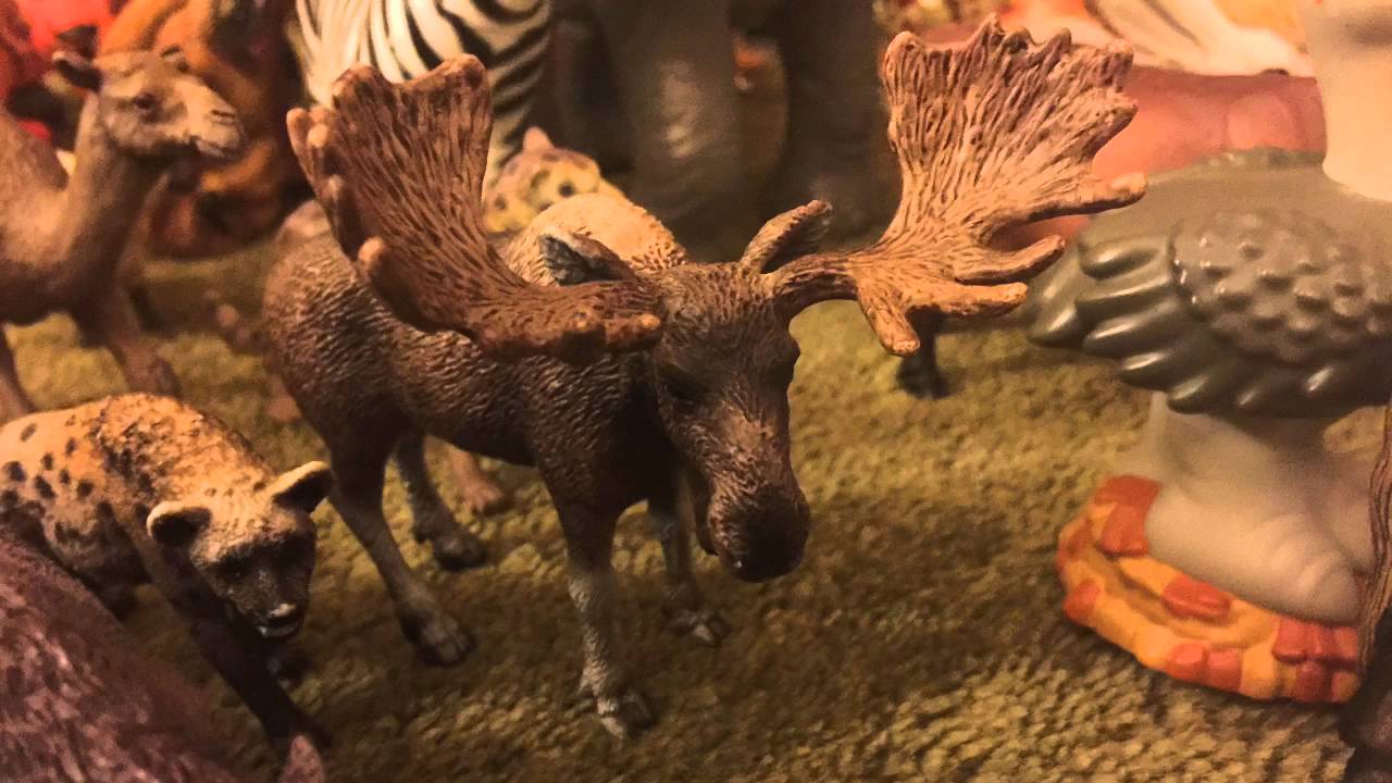 Huge Safari Ltd and Schleich Toy Animal Collection - YouTube