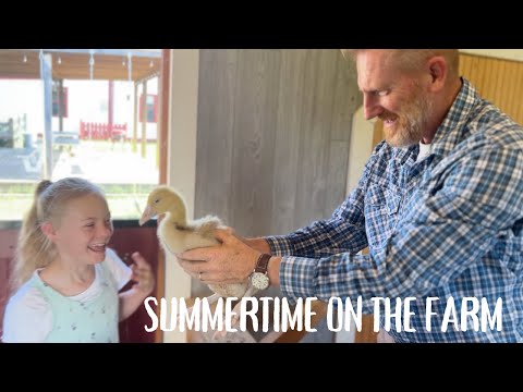 It's Summer Time on the farm
