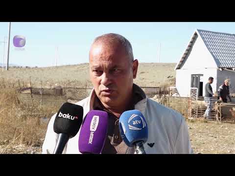 Göygöldə oğurlanan 62 baş qoyunun 56-sı tapılıb