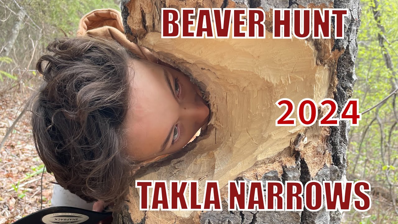 Beaver Hunting In Northern BC: Uze De-Yah Wilderness Camp #trapping # ...