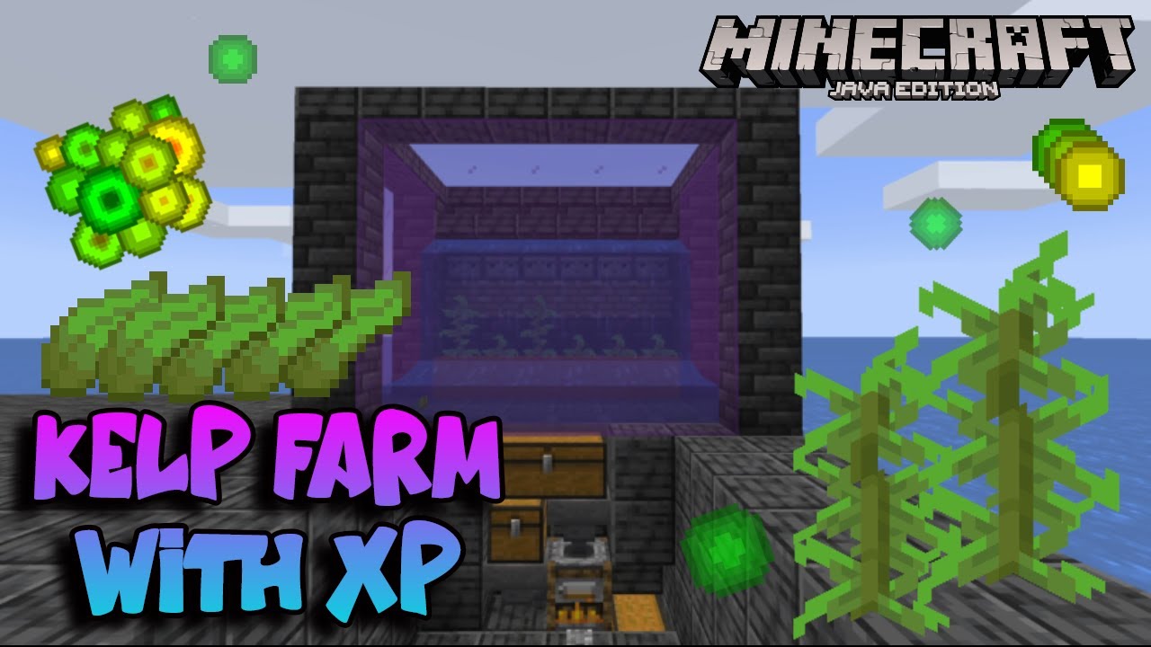 EASY Kelp Farm with XP | Java Minecraft 1.17+ - YouTube