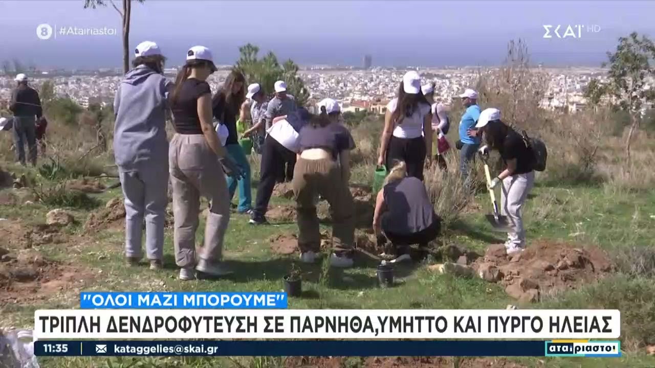 «Όλοι Μαζί Μπορούμε»: Δενδροφύτευση σε Πάρνηθα, Υμηττό και Πύργο Ηλείας ...
