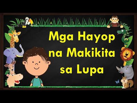 Mga Hayop na Makikita sa Lupa (Land Animals) - YouTube