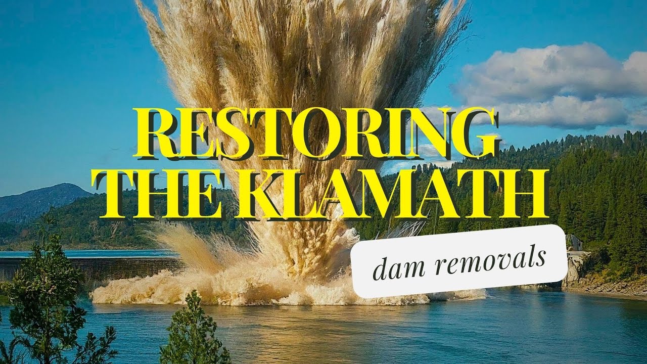 Klamath River Dam Removal: A Historic Moment for Salmon Restoration ...