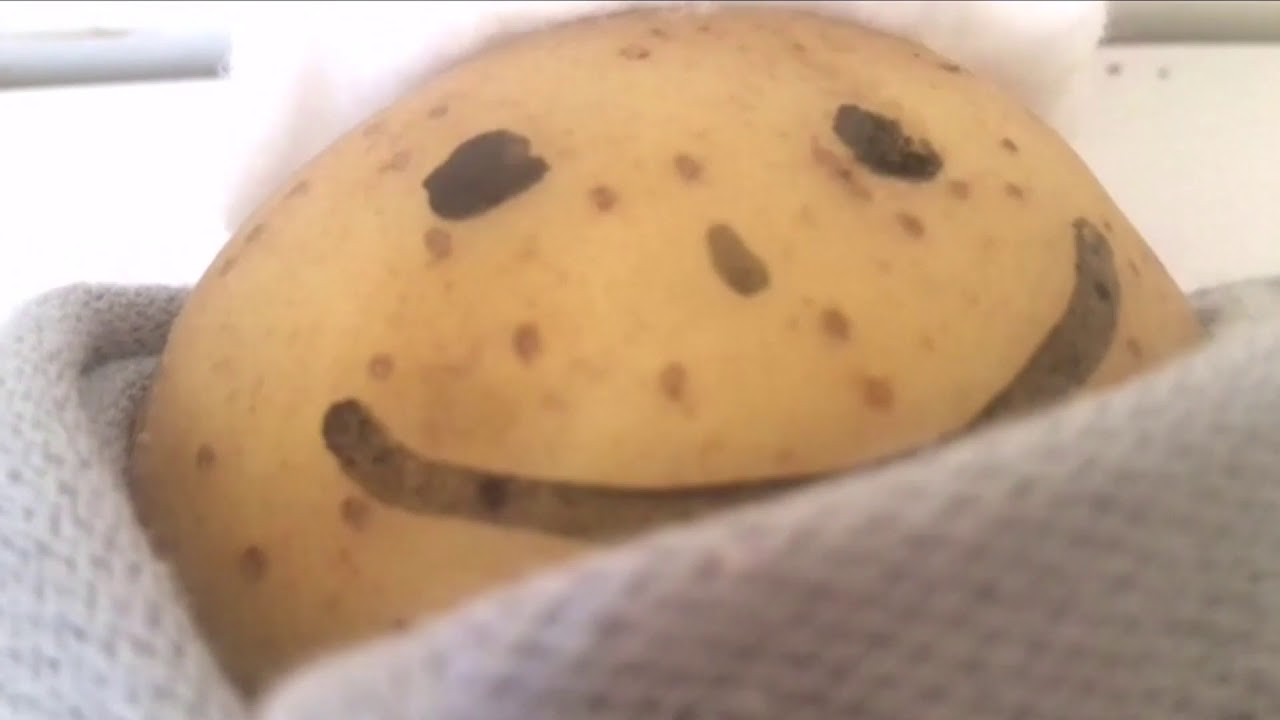 Small Potatoes | Moon Baby - YouTube