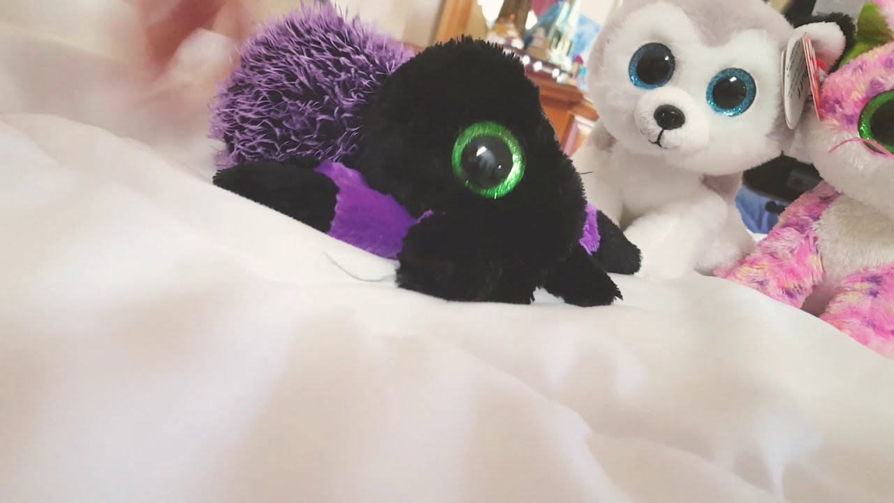 TY TV:bonus video - YouTube