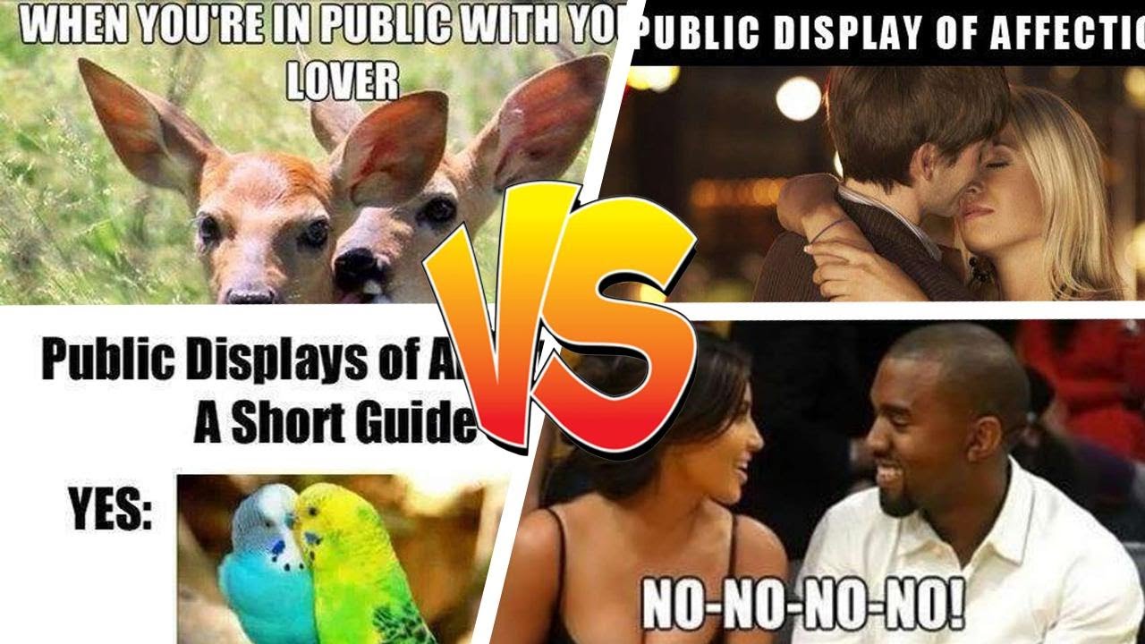 Pda Memes That Will Remind You No One Wants To See That 💎 - YouTube