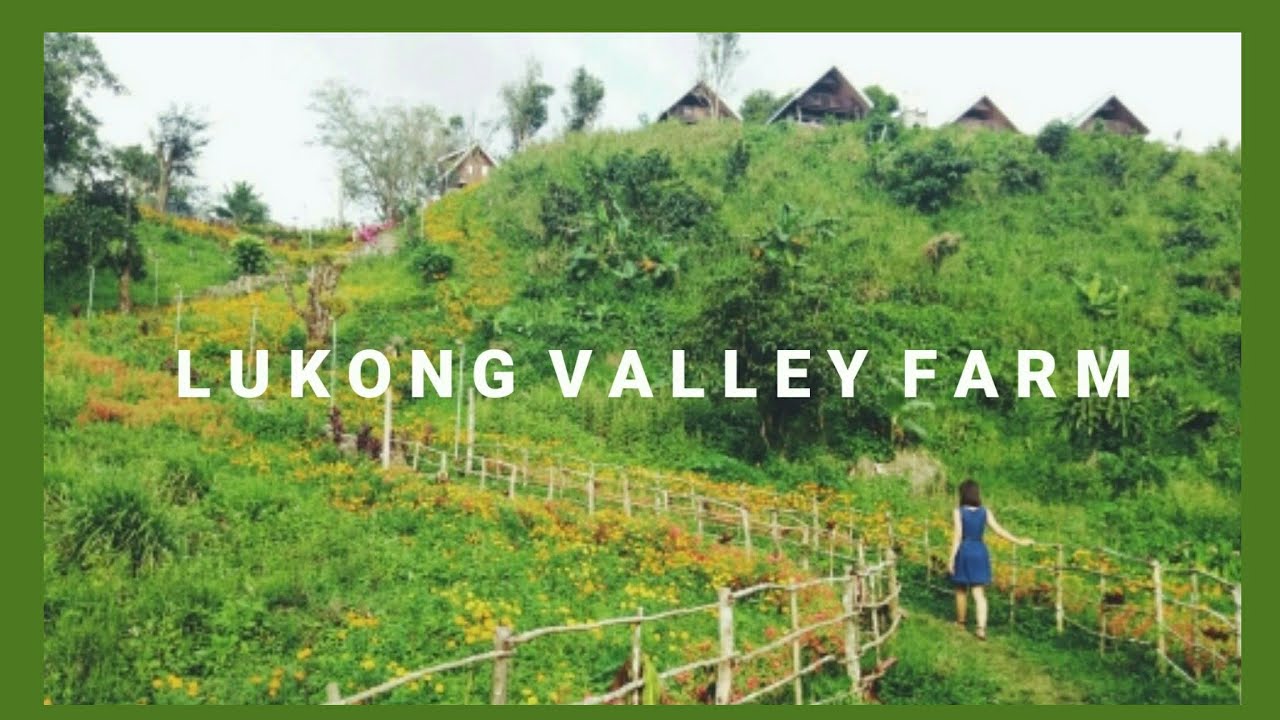 LUKONG VALLEY FARM 🌿 DOLORES, QUEZON PROVINCE | Yenn Castrillo - YouTube