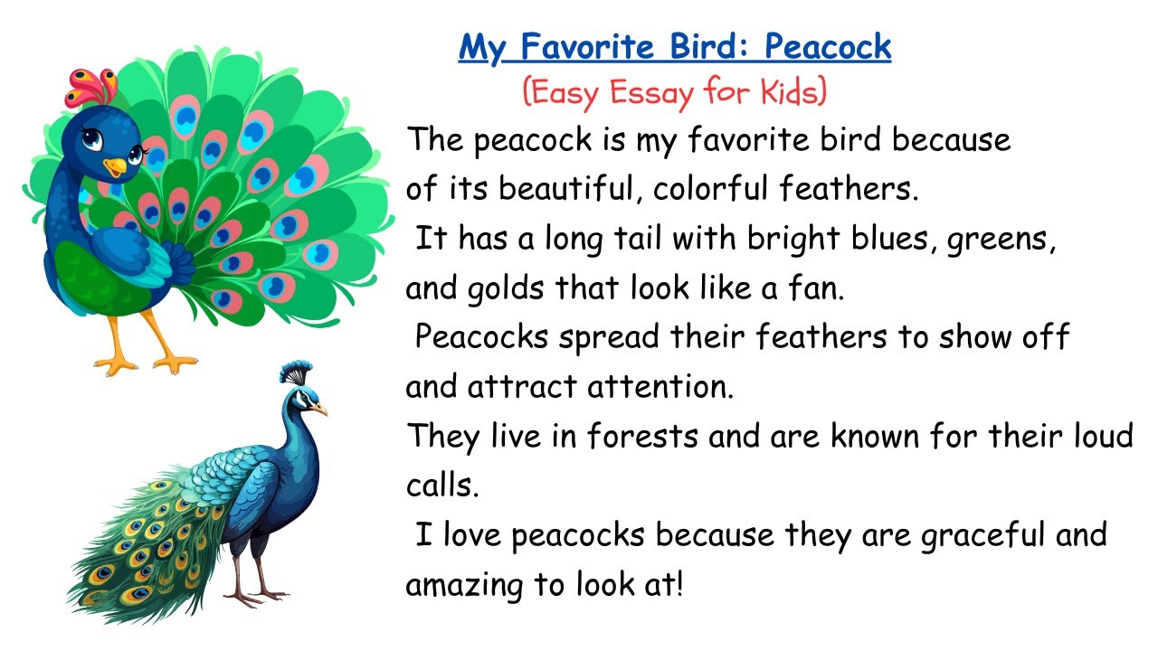 My Favorite Bird: Peacock || easy essay for kids|| new educational ...