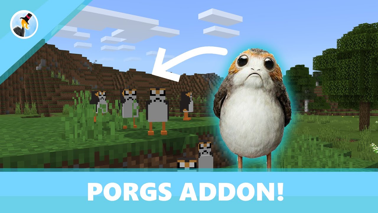 PORGS in Minecraft!: Minecraft Bedrock Add-on - YouTube