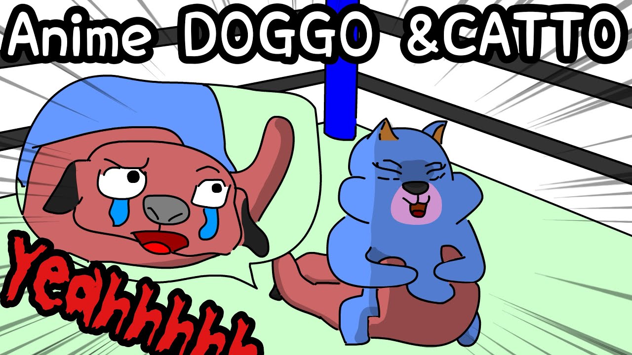Strange anime of CATTO and DOGGO - YouTube