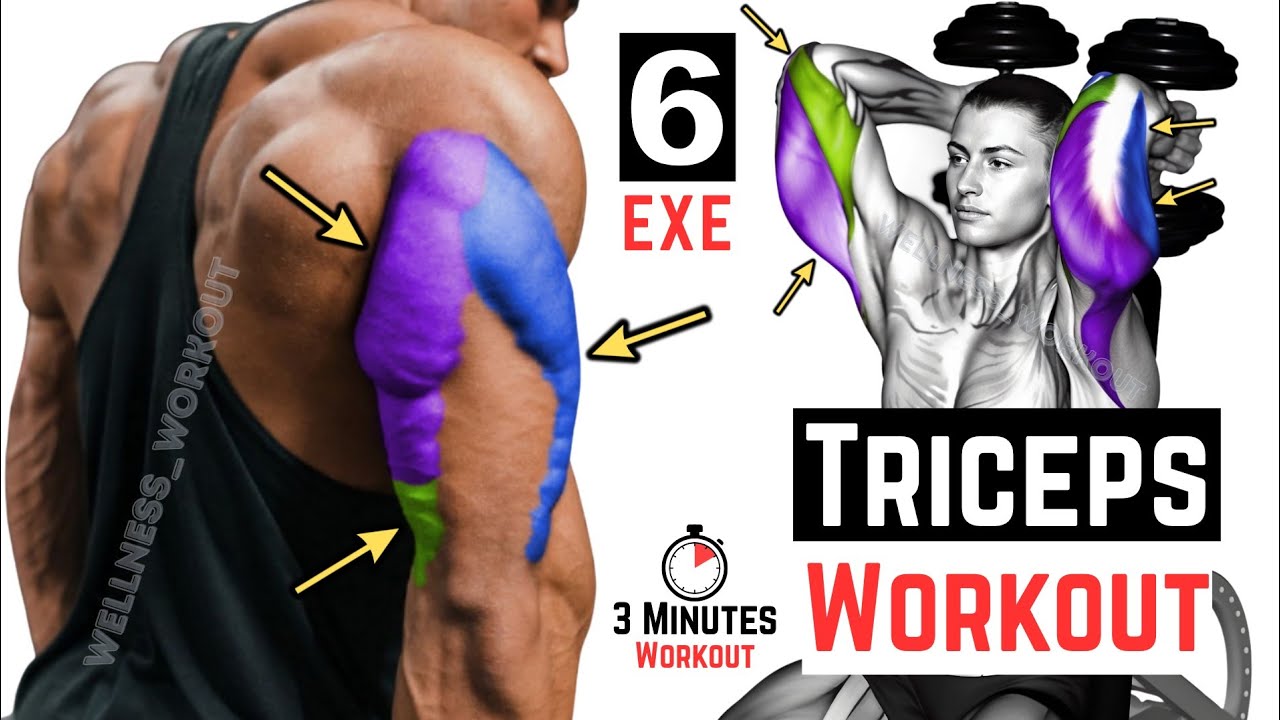 Killer Triceps Workout for HUGE ARMS | 6 Best Exercises - YouTube