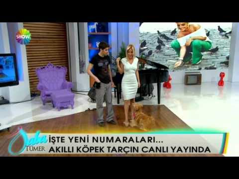 Kutay Özkan ve Tarçın Saba Tümer'de