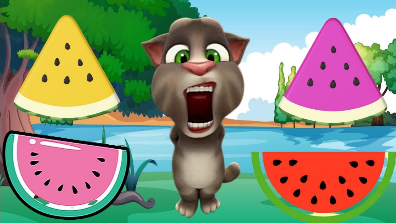 talking Tom cat funny watermelon video || Billu funny watermelon video ...