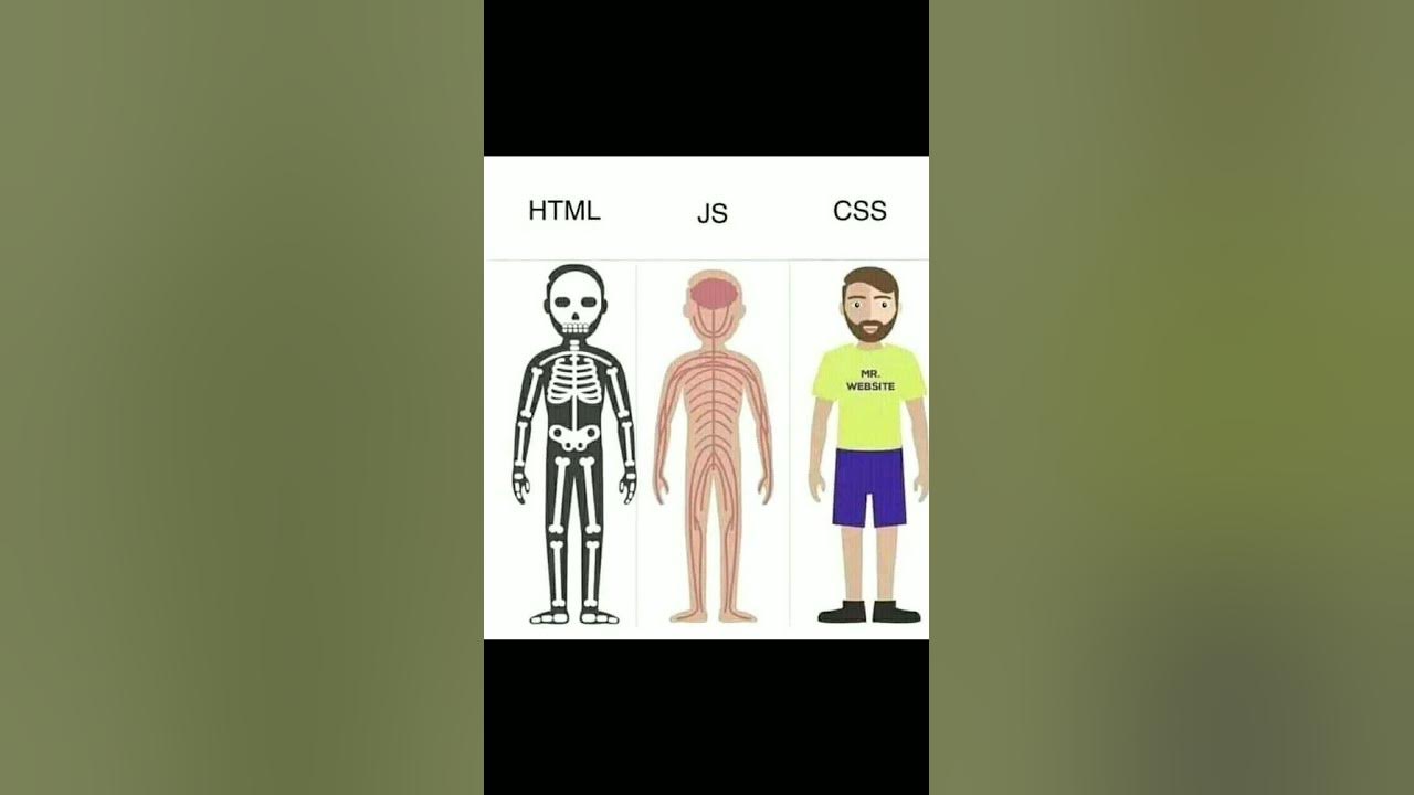 Html Css And Js 😍htmlcss Csstutorial Jstutorial Javascript Codinghacks Codingtips Trending 0578