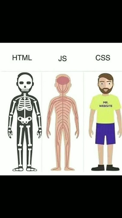 Html Css And Js 😍htmlcss Csstutorial Jstutorial Javascript Codinghacks Codingtips Trending 0576