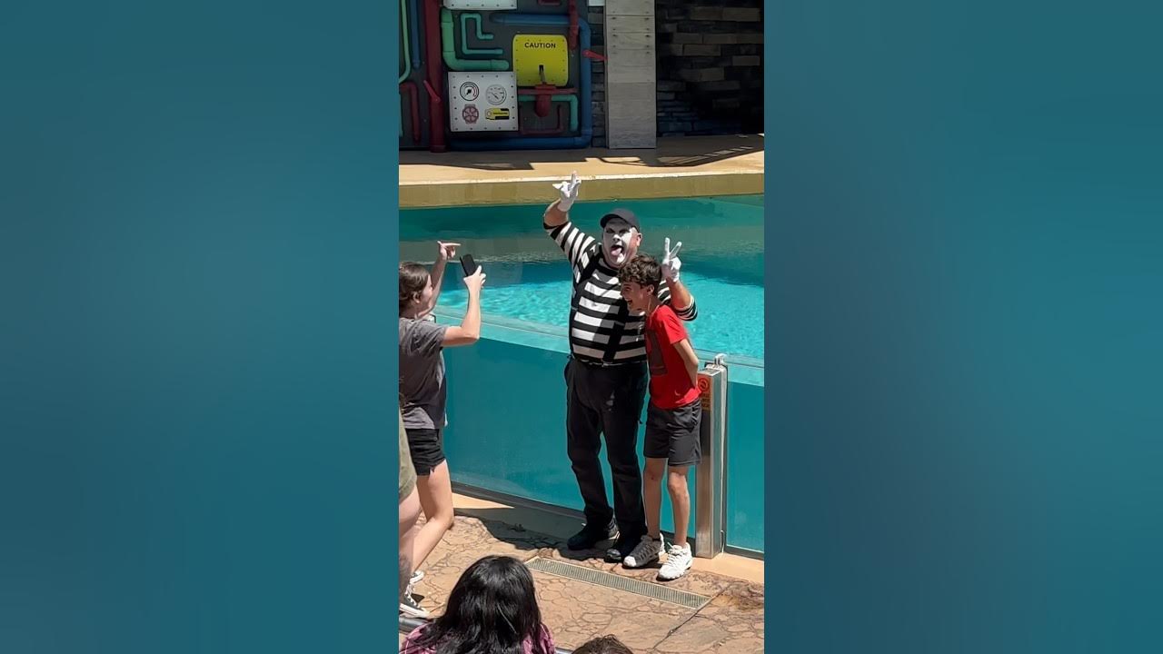 Laugh With Tom Mime Seaworld ððĪĢ Seaworldmime Youtube