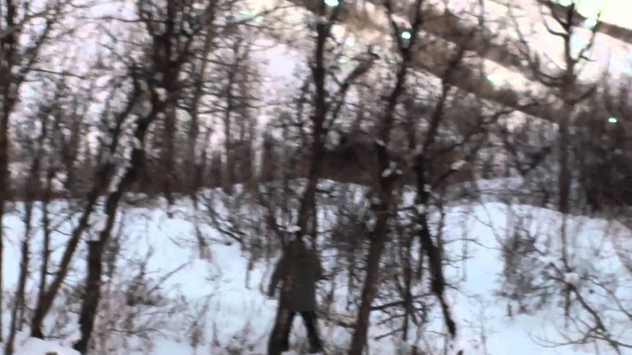 How to charge a moose - YouTube