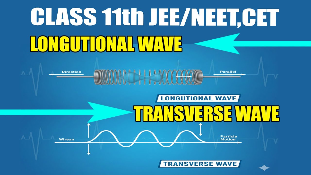 Transverse & Longitudinal Waves | Waves | Physics | FuseSchool - YouTube