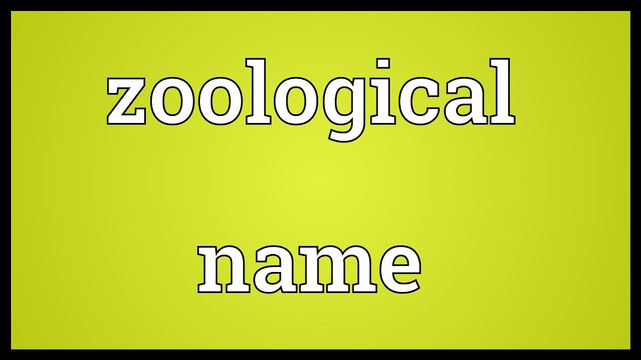 Zoological name Meaning - YouTube