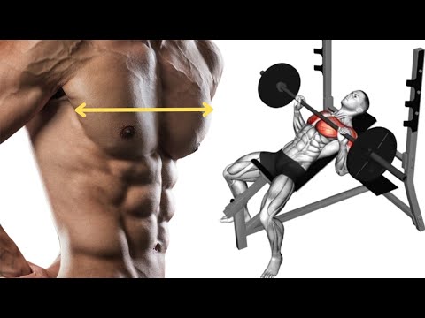 Complete Chest Workout at Gym - YouTube