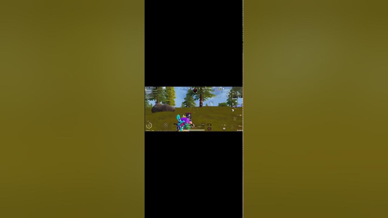 PYTHON YT is live - YouTube