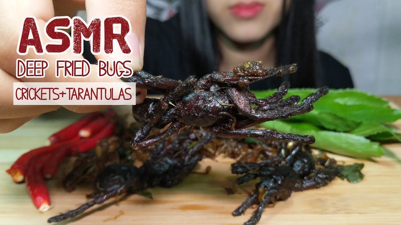 ASMR | Eating Bugs ចង្រិត+អាពីង (Cricket &Tarantulas) Crunchy Eating ...