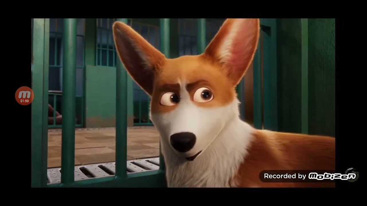 The Queens Corgi Rex being sad clips 😭😭😭🐕🐾 - YouTube