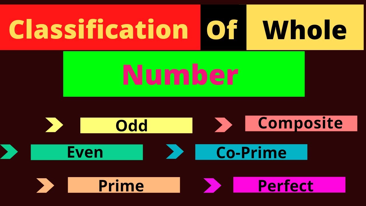 Classification Of Whole Number|| Odd, Even, Prime, Composite, Coprime ...