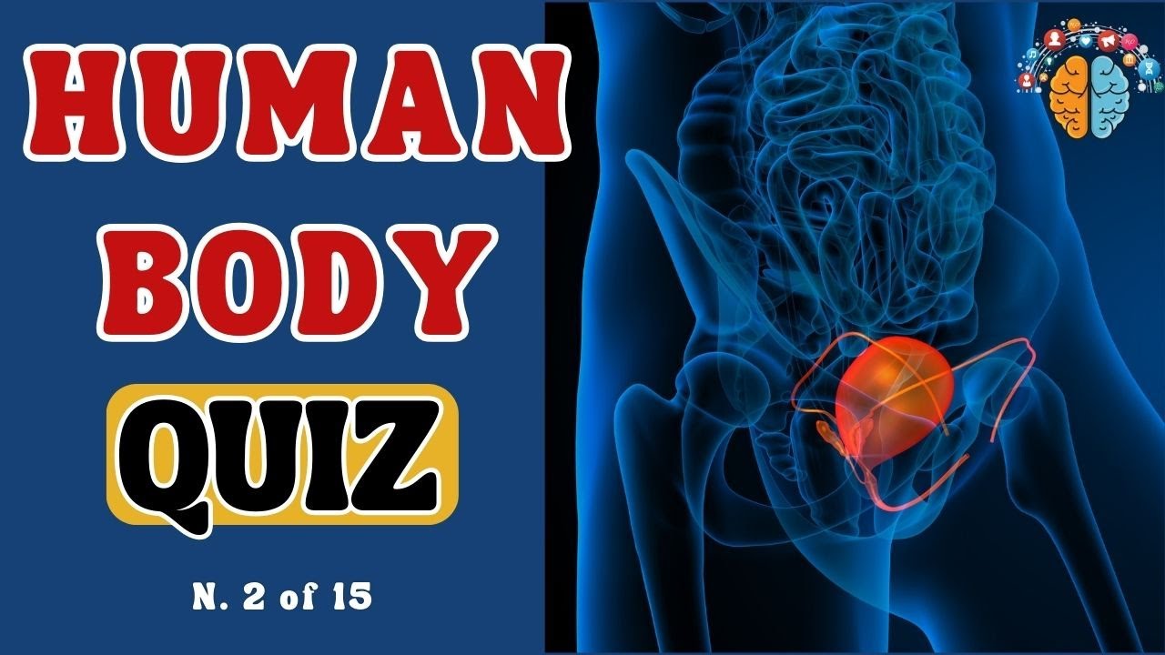 💊 Can You Pass This Human Body Quiz Medicine Trivia ⚕️ 1 of 10 - YouTube