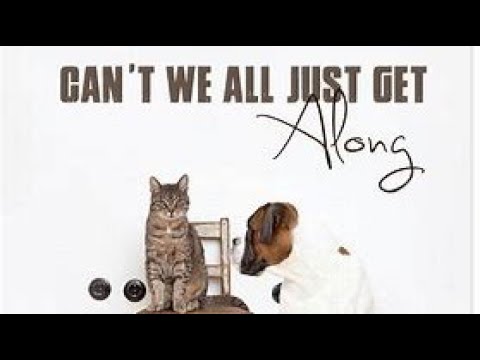 PLEASE DON'T FIGHT IN MY CHAT! AND I WANT TO GET TO KNOW YOU ALL! - YouTube